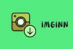 Imginn - Guide To An Instagram Viewer And Downloader