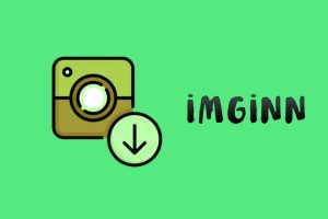 Imginn - Guide To An Instagram Viewer And Downloader