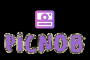 Picnob - Easy Tool For Viewing And Downloading Instagram Stories
